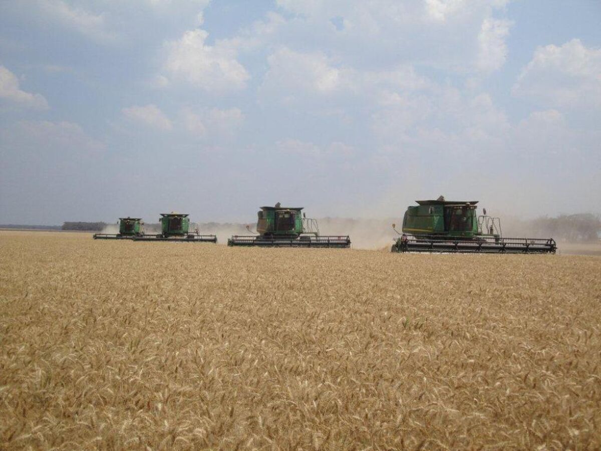 Farm for sale in Lusaka Province, Chiawa Farm - zm0780 | Knight Frank ...