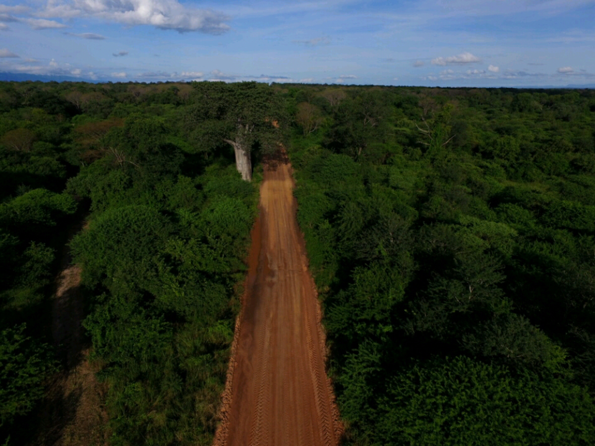 Farm for sale in Lusaka Province, Chiawa Farm - zm0780 | Knight Frank UK