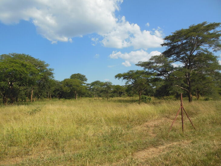Farms and Estates in Zambia | Knight Frank Zambia