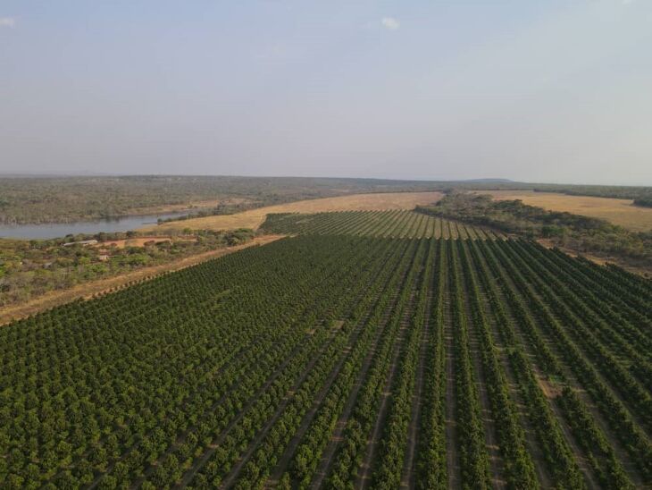 Farms and Estates in Zambia | Knight Frank Zambia
