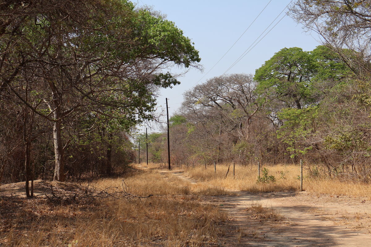 Agricultural Land for sale in Kabwe Farm, Kabwe - zm1026 | Knight Frank UK